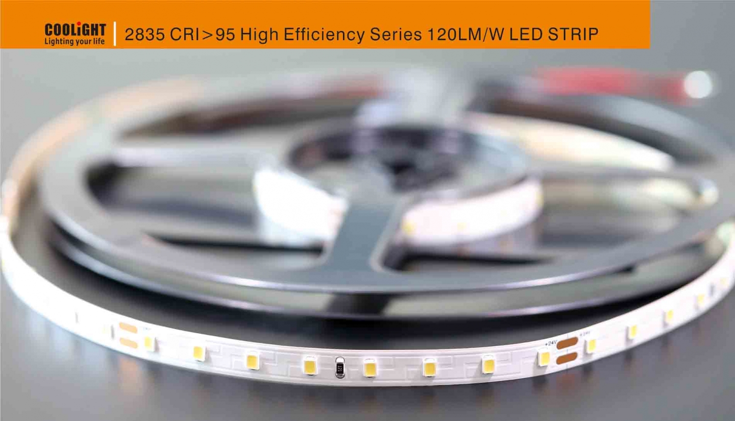 2835 80LED/m 24V CRI95 4.8W LED Strip - COOLIGHT