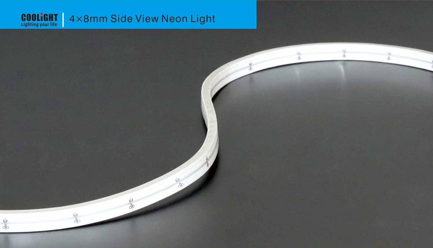 4x8mm 144LED Side View Neon Light - COOLIGHT