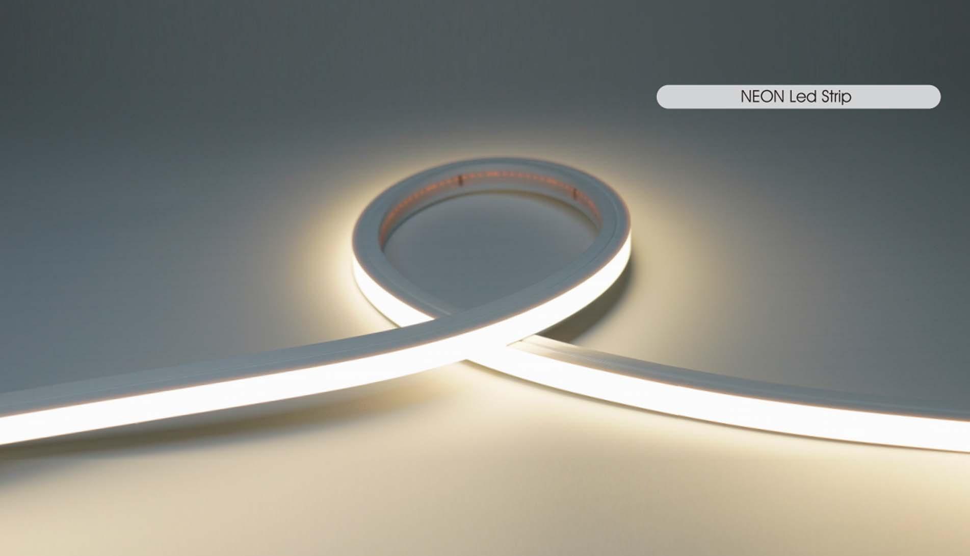 10X10mm CSP Top View Neon Light – COOLIGHT