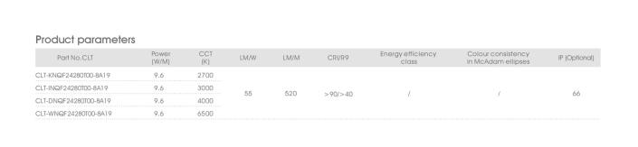 6x10mm Top View Neon Light - COOLIGHT